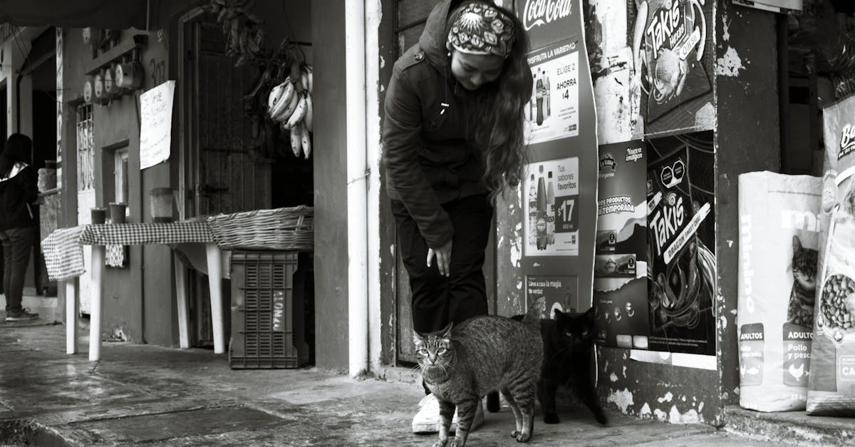 Cloud Vendor Lock-In: Avoid the Trap That Costs Your Business Dearly - Wibnilabs